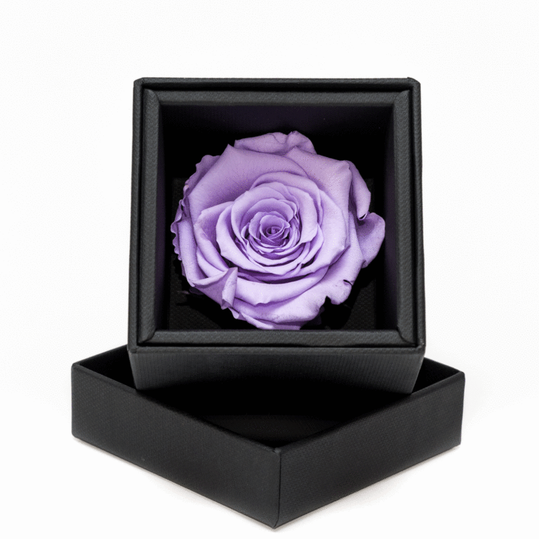 Rosa viola stabilizzata confezionata in scatola nera elegante